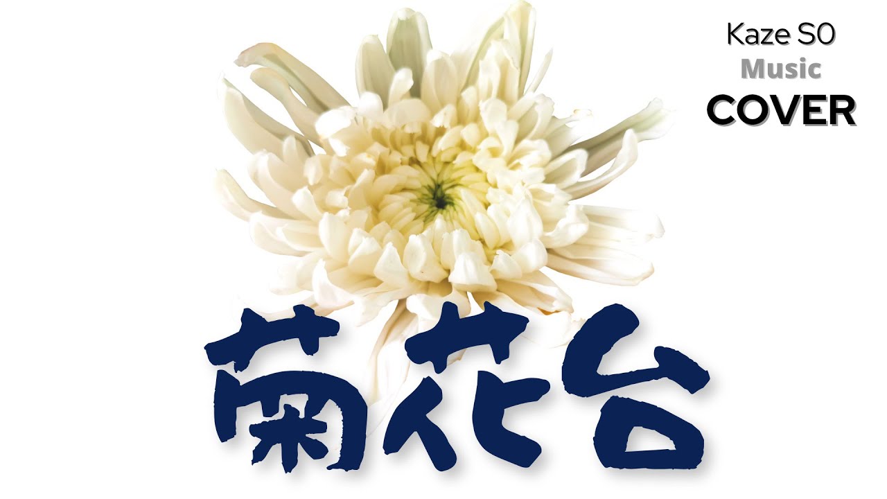 菊花台 (周杰倫) | Cover feats. Katz | Kaze So - YouTube