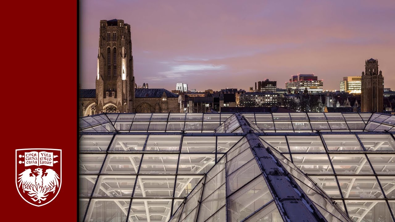 UChicago Architecture: Steve Wiesenthal on the Campus's Architectural ...
