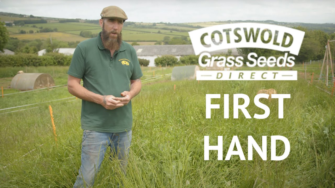 Special Pig-rooting Mix, Herbal Ley & Fast & Vast with Justin Newman ...