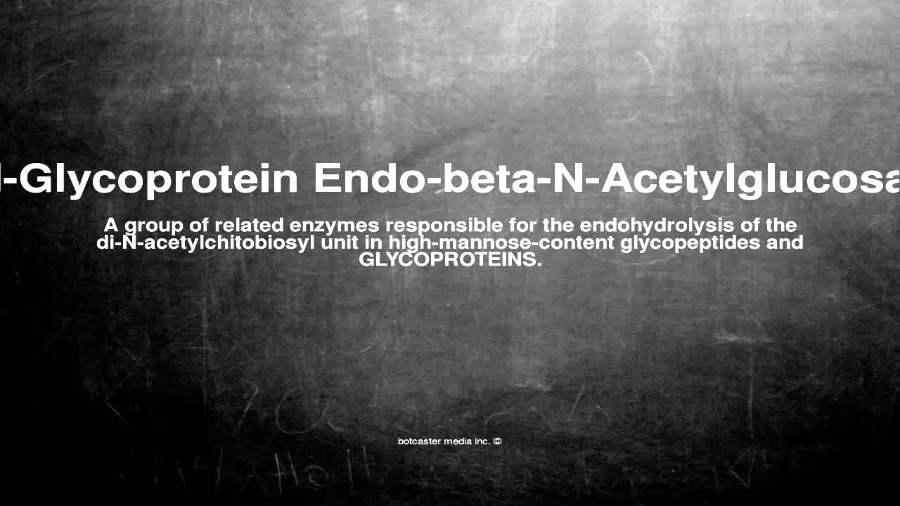 Medical Vocabulary What Does Mannosyl Glycoprotein Endo Beta N