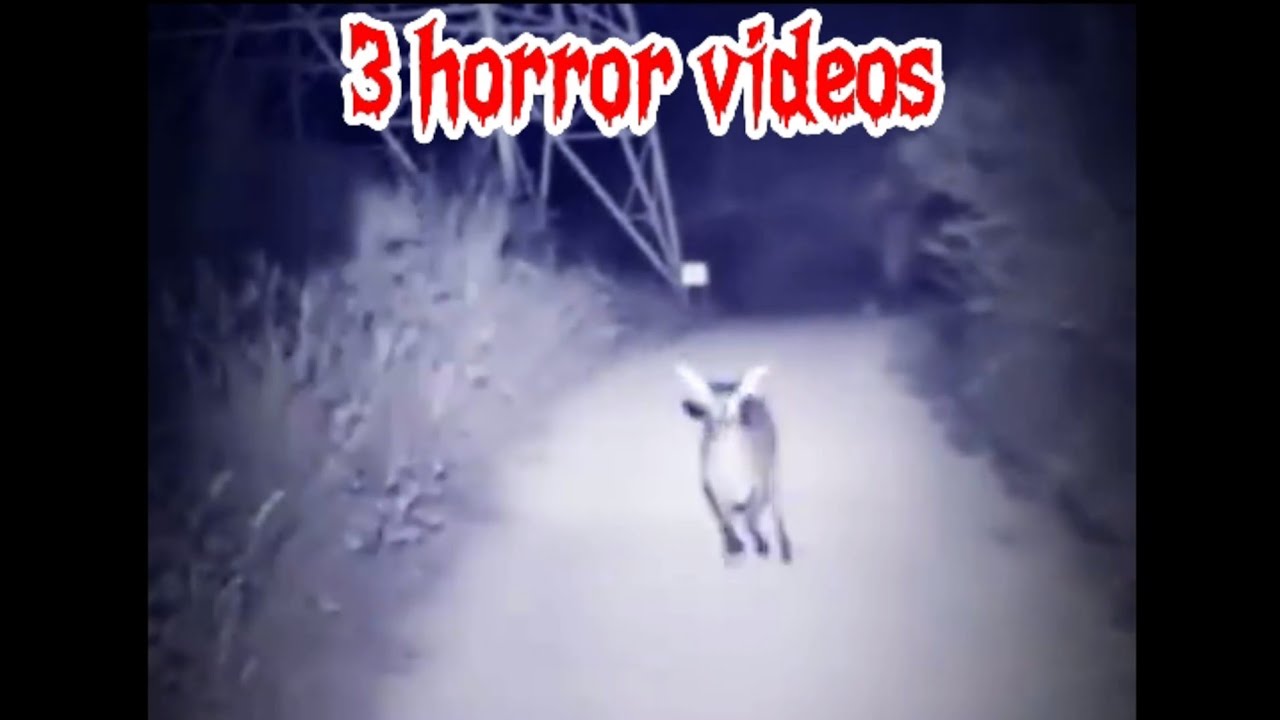 Most disturbing videos on internet - YouTube