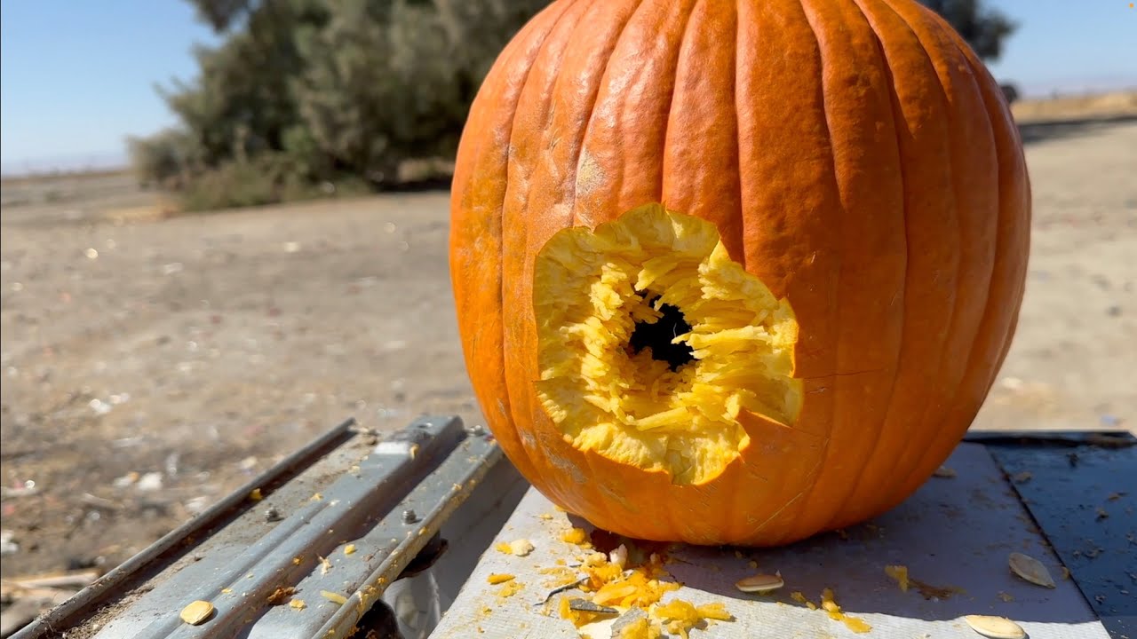 AEA ZEUS ONE SHOT PUMPKIN - HAPPY HALLOWEEN 🎃 - YouTube