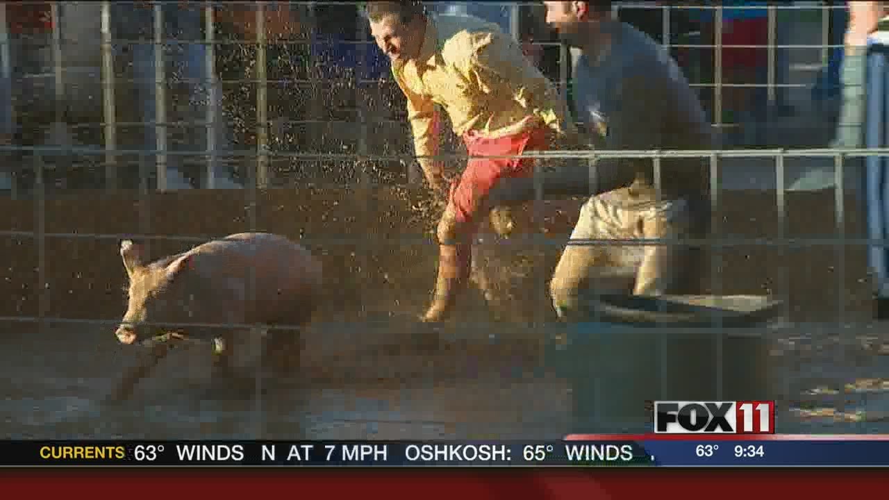 9PM TUES CATCH-A-PIG EVENT AT OUTAGAMIE COUNTY FAIR - YouTube