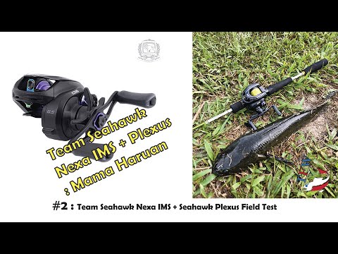 #3 Seahawk Nexa IMS Reel + Seahawk Plexus Rod Field Test : Berjaya ...