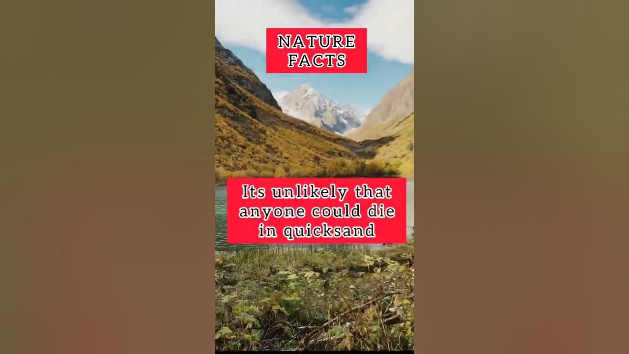 NATURE FACTS YOU MIGHT WANT TO KNOW YouTube nature-facts-you-might-want-to-know-youtube