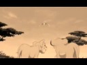 Simba & Nala - I should've cheated - YouTube