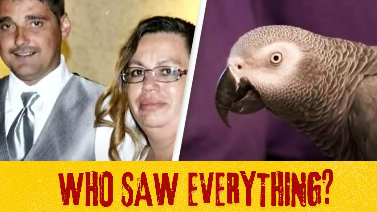 The Parrot Who Solved a Crime Case || True Crime Documentary || The ...