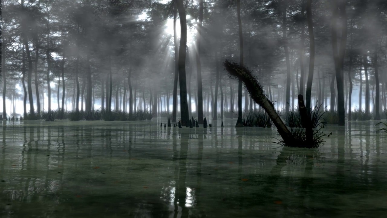 E-on software - Beyond the Swamp (animation) - YouTube