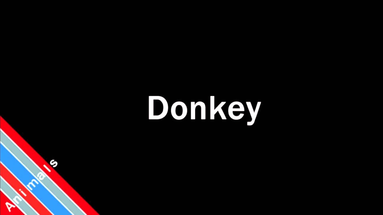 How to Pronounce Donkey - YouTube
