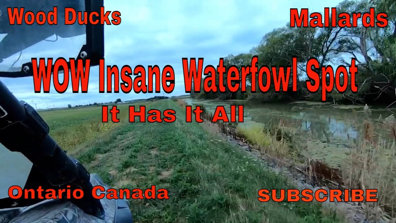 New Secret Waterfowl Spot ?? - YouTube