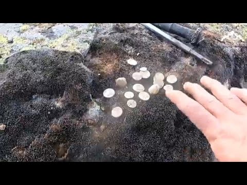 Dünyanın Çok Büyük Define Kaya Kasasını Açtım İçinden mühür Çıktı/treasure hunter