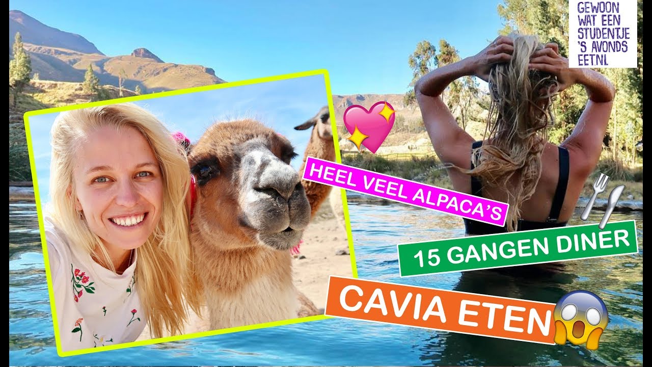 CAVIA ETEN, selfies met ALPACA'S en beste restaurant van de wereld ...