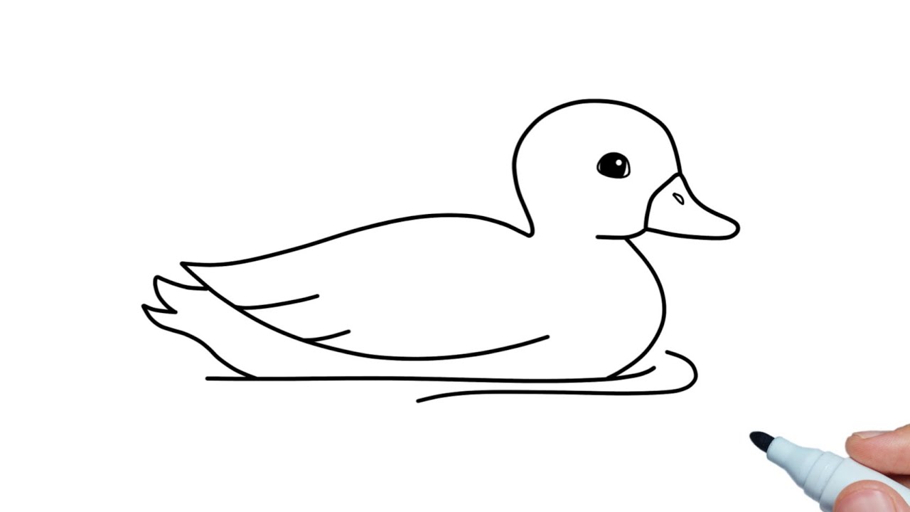 How to draw a Duck easy step by step - YouTube