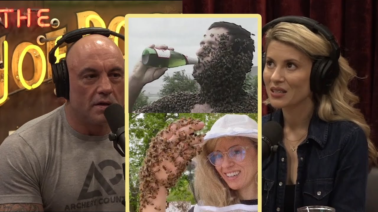 Joe Rogan: The Complex Nature of Beekeeping and how they Communicate ...