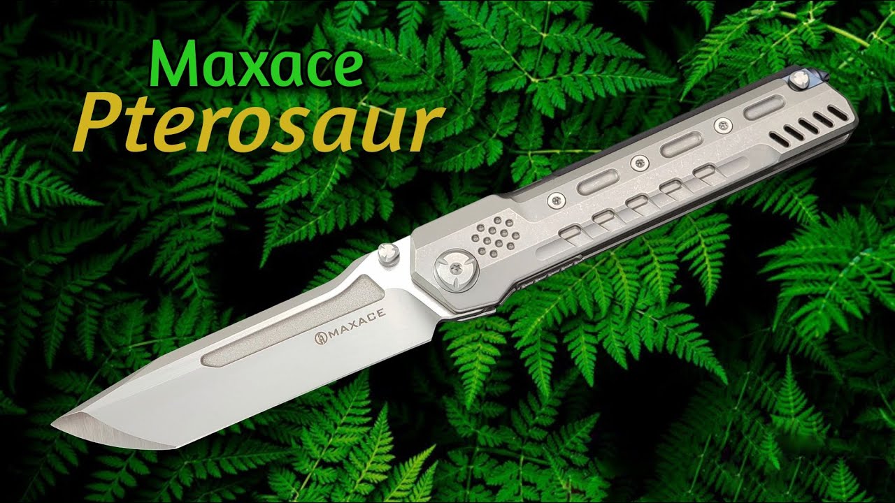 Maxace Pterosaur: Another "Massive Maxace" BIG Folding Tanto Blade ...
