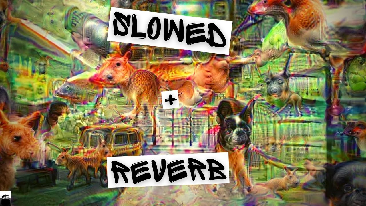 LZLV SLOWED + REVERB (Fatboibari - Romance Garbage) - YouTube
