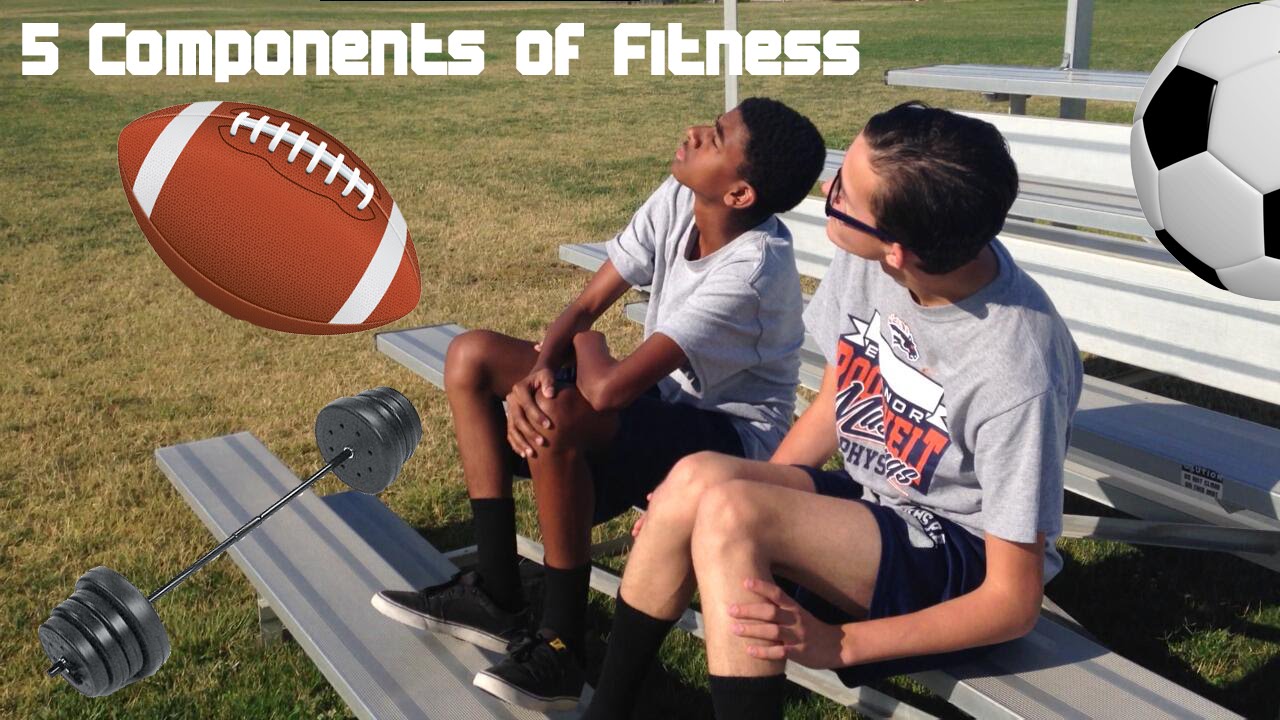 5 Components of Fitness: PE Video - YouTube