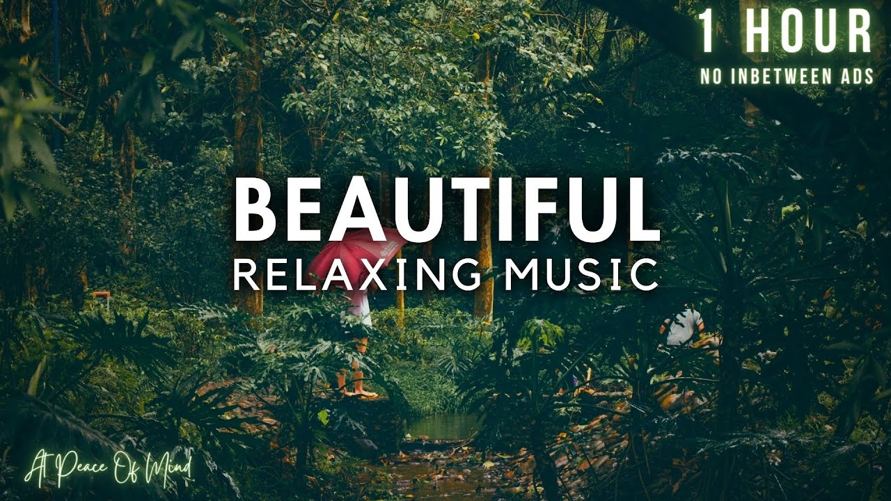 Beautiful Relaxing Piano Music | Soothing Melodies, Calm Music For ...