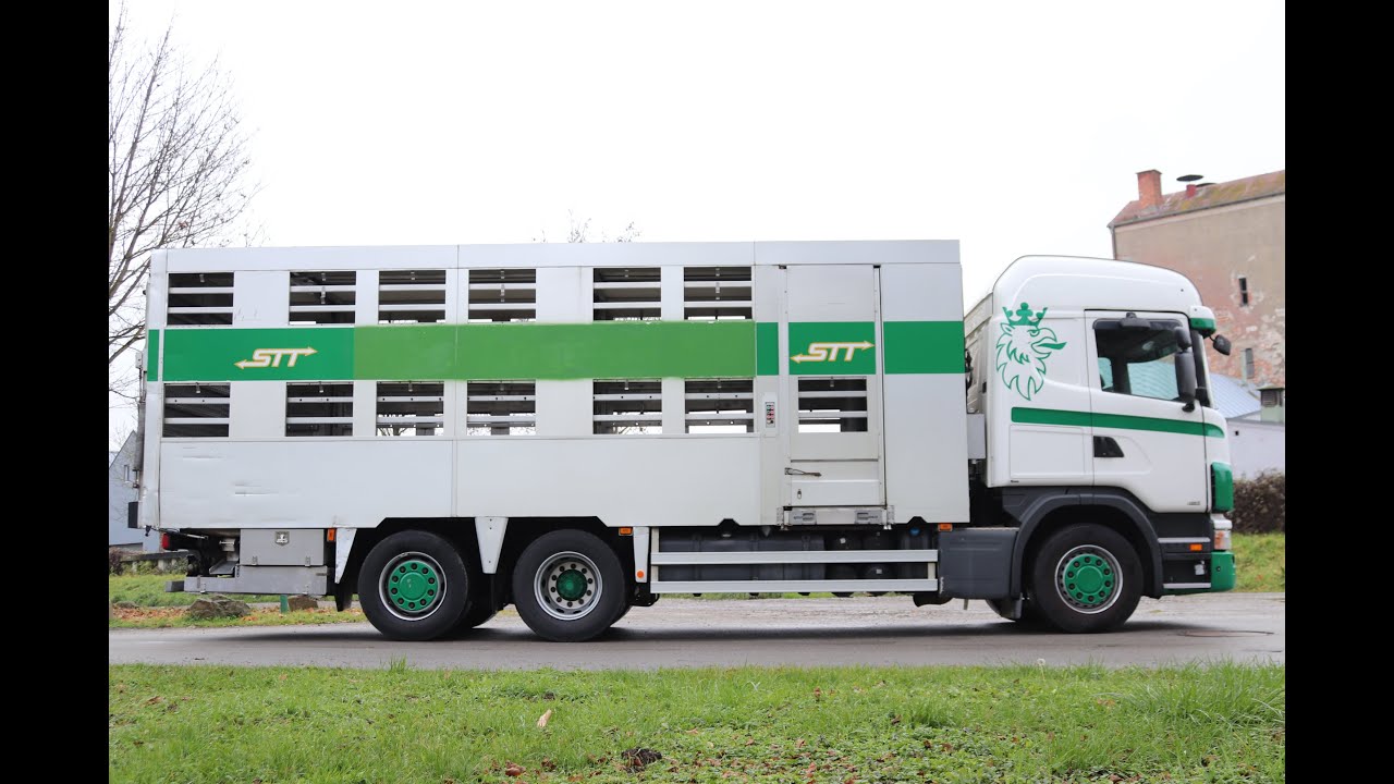 Scania G420 Tiertransport/animal transport, 6x2 - YouTube