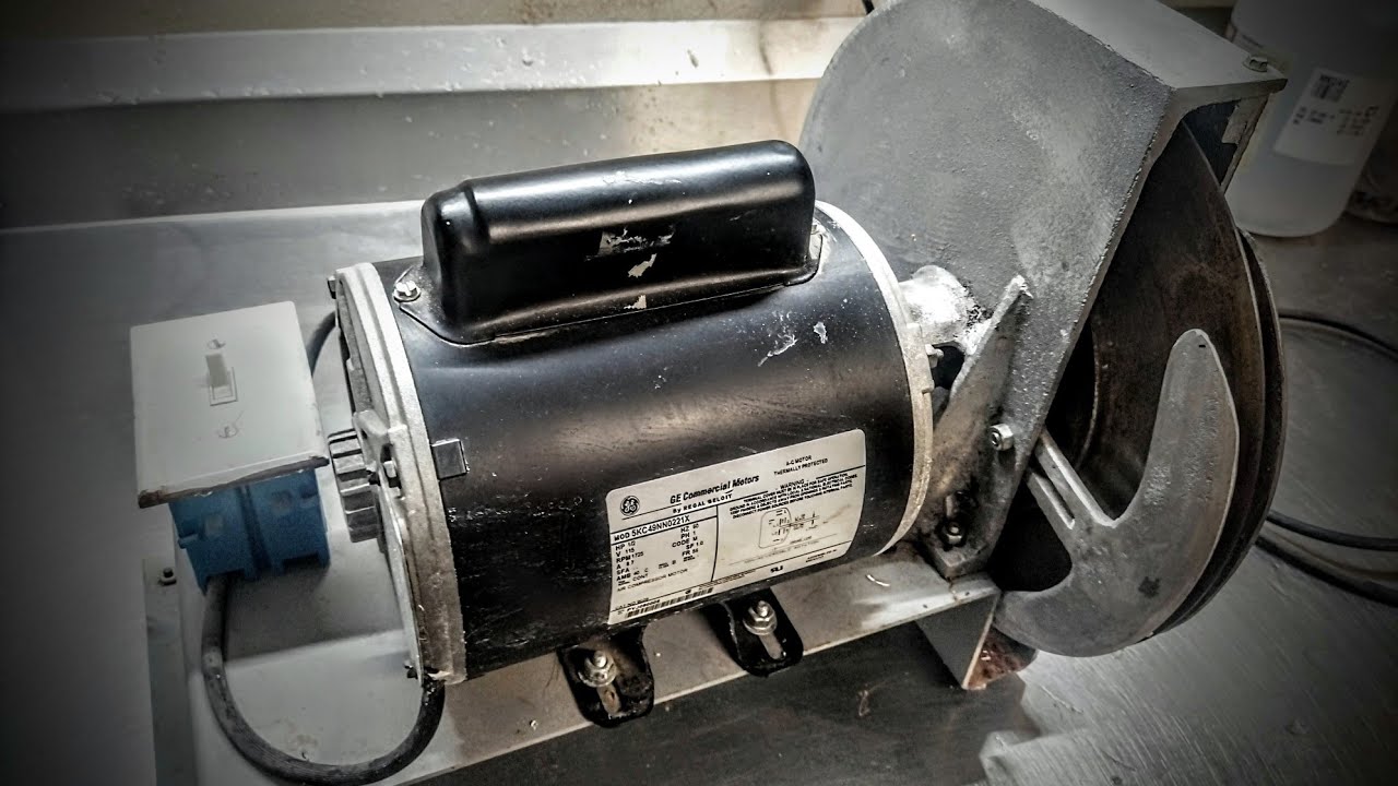 FREE FLESHING MACHINE!! First attempt at shaving a whitetail deer cape ...