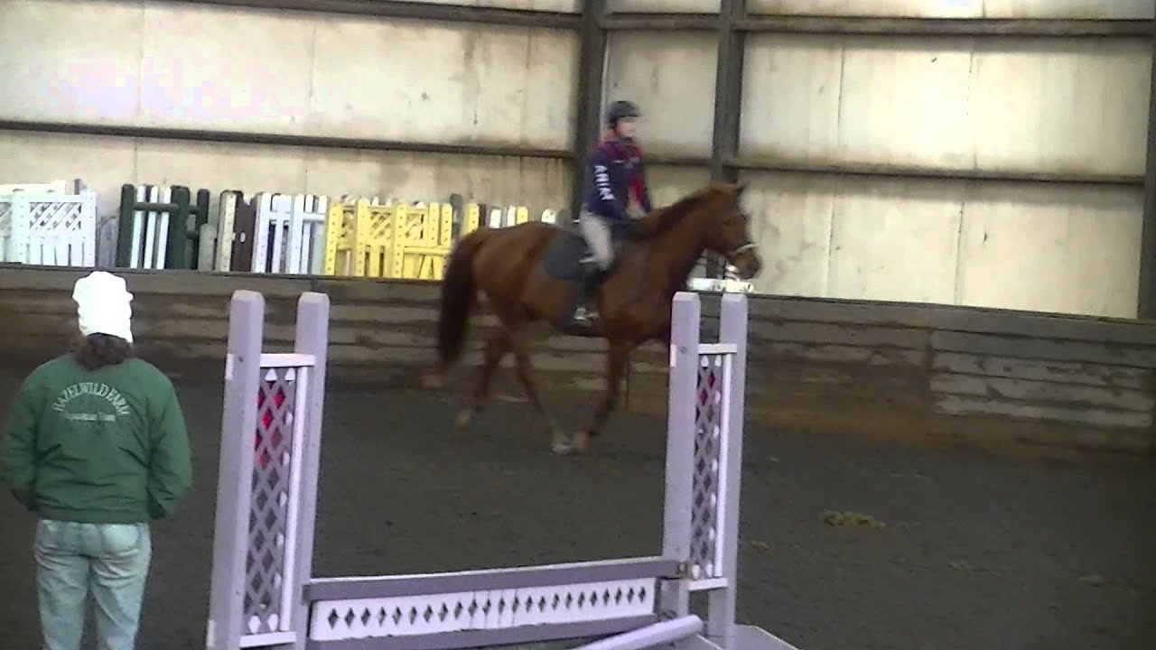 2/9 3:30 Practice Molly on Welby Jumping - YouTube