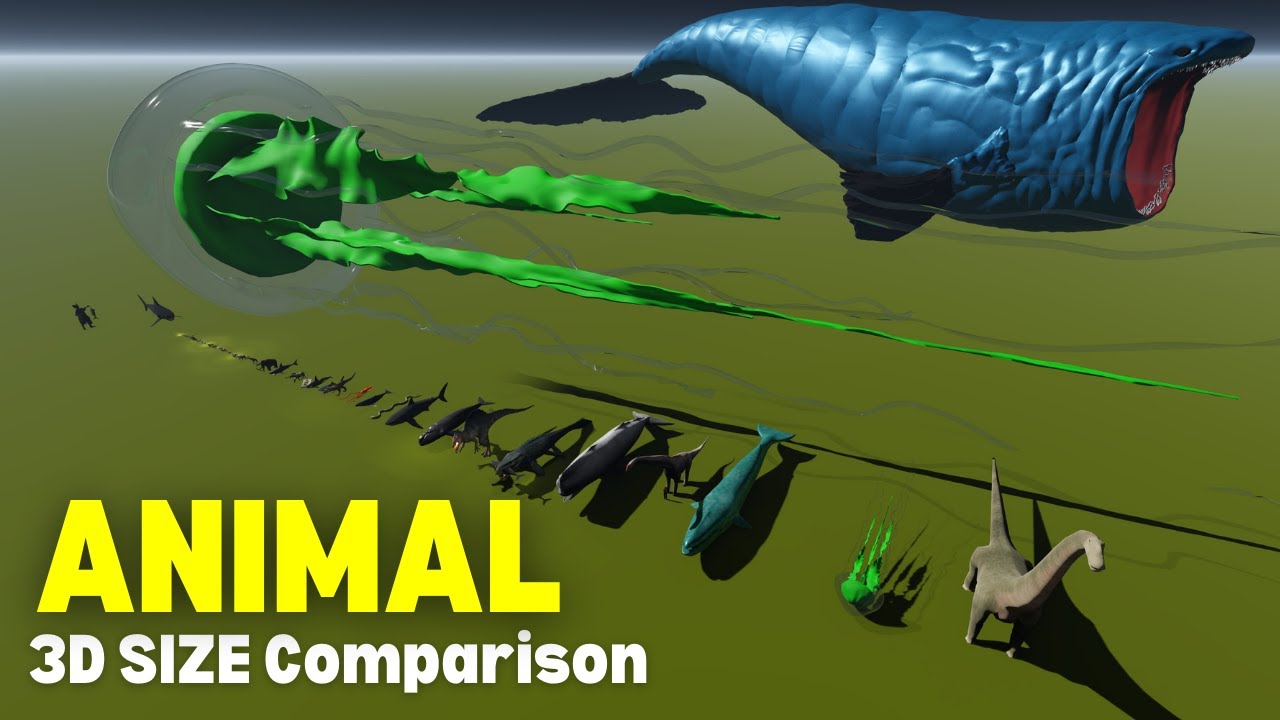 Animal Size Comparison || 3D Animation || Smallest to Monster Animals ...