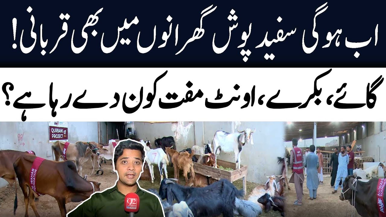 Ab Hogi Qurbani! | Bakray Aur Gaaye Kon Muft Dey Raha Hai? | Shayan ...