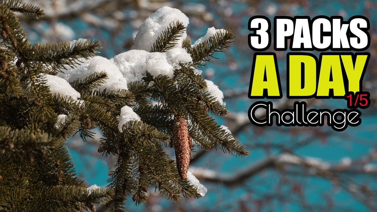 Three Packs A Day Winter-Challenge 1/5 (DJI O3 Air Unit) - YouTube