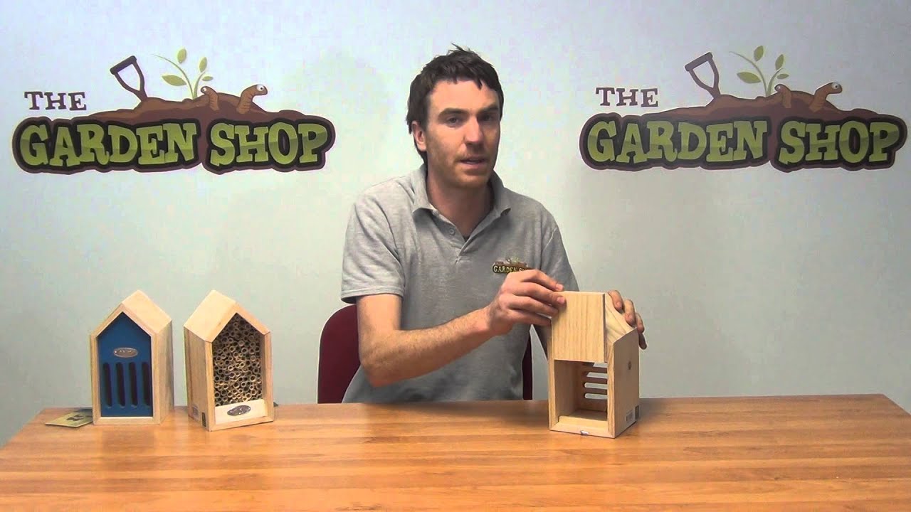 Ladybird House - YouTube