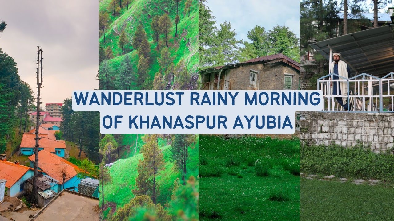 Wanderlust Rainy Morning of Khanaspur Ayubia National Park | Rainy ...