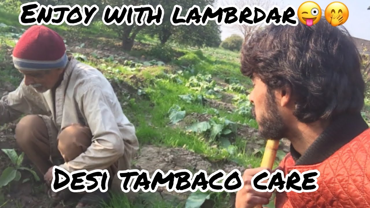 Desi tambaco #saadlahoria #villagevscitylife vlog - YouTube