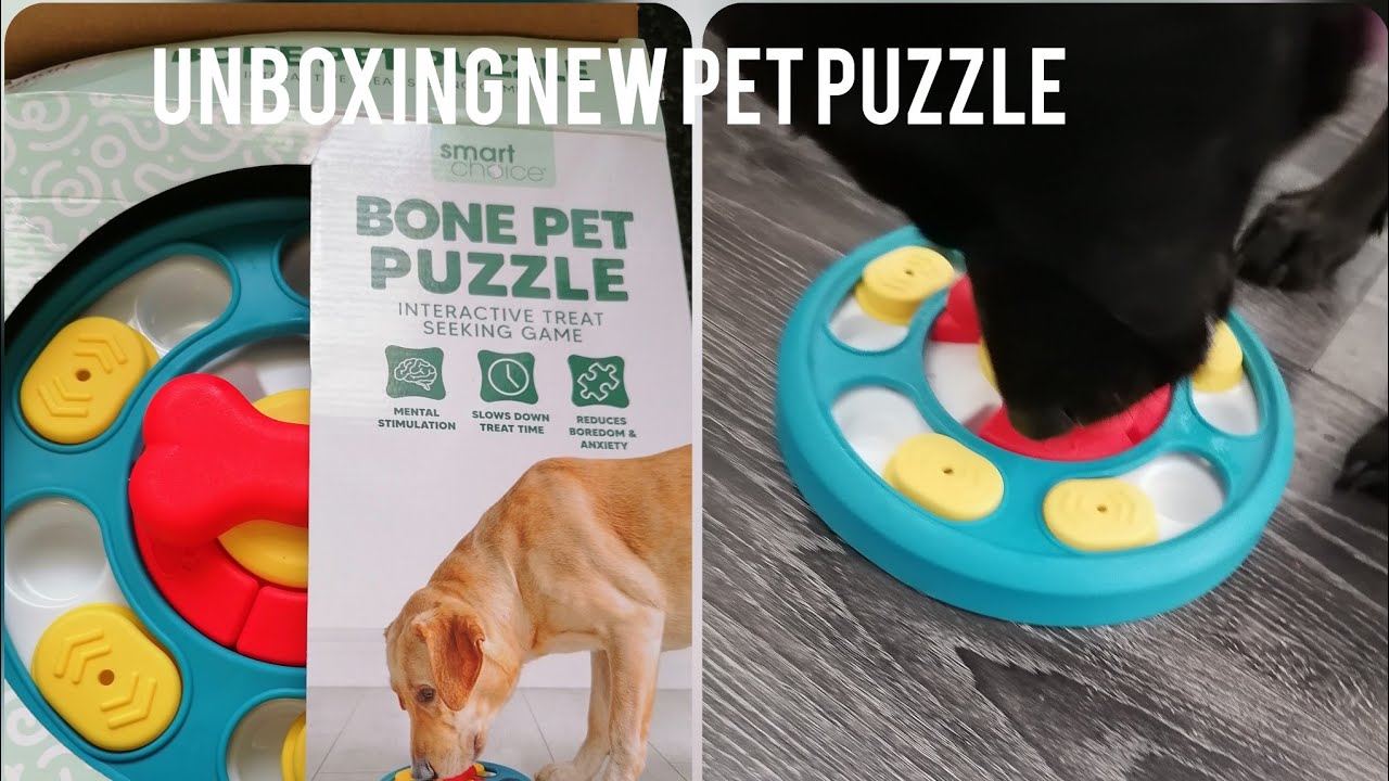 Unboxing Pet bone puzzle from #amazon #dog #unboxing - YouTube
