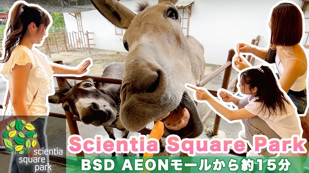 Science Square Park🐐🥕🌱BSDにある大きな公園に行ってみた！Indonesia |ジャカルタ|海外 - YouTube