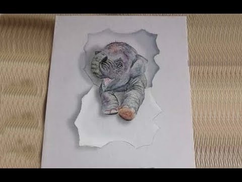 Trick Art - Drawing 3D Elephant - How to Draw 3D Elephant on Paper ...