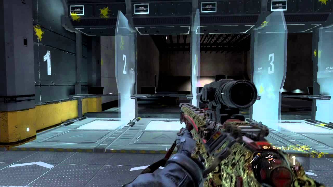 Royalty Camo Review With Private Match Clips (Advanced Warfare) - YouTube