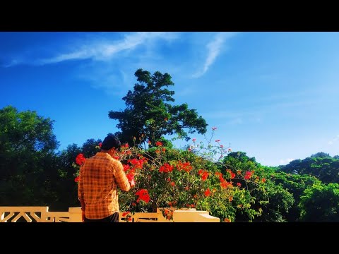 Rahul Art l JK l Krishnamurthy foundation l Rahul #aidrahulart #jk # ...