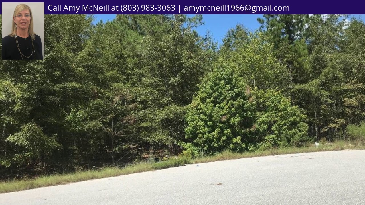 1101 Cheyenne Court, Manning, SC 29102 - MLS #137992 - YouTube