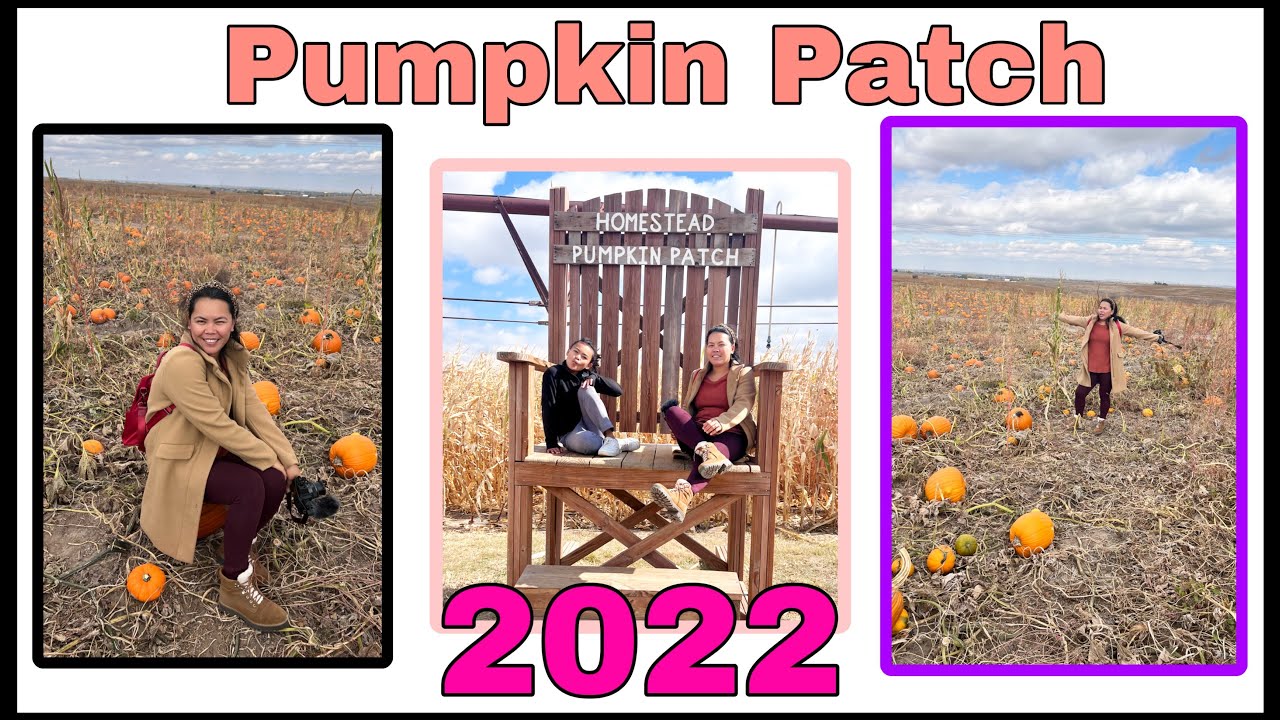 Homestead Pumpkin Patch 2022|Sobrang na Enjoy|Pinay sa America 🇵🇭🇺🇸 ...