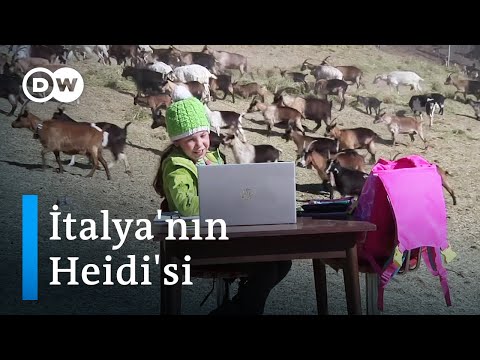 Fiammetta’nın okulu | 350 keçi, bir atla birlikte temiz havada eğitim - DW Türkçe