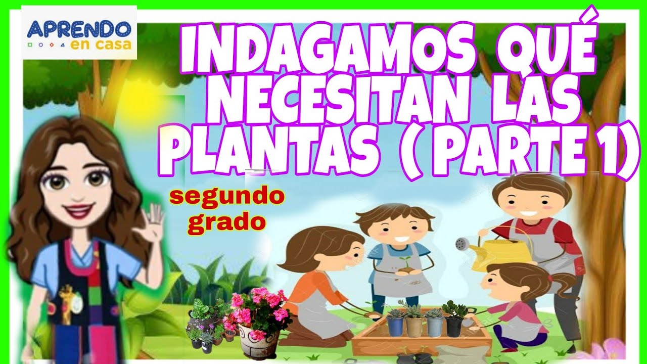 INDAGAMOS QUÉ NECESITAN LAS PLANTAS (PARTE 1) Día 2 semana 27 APRENDO ...