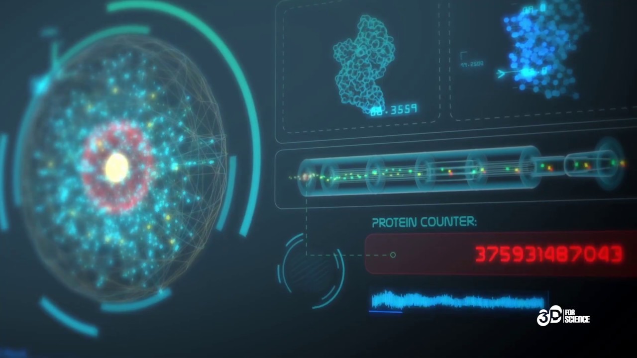 Infographic integration reel 2019 - 3DforScience - Visuals for Bio ...