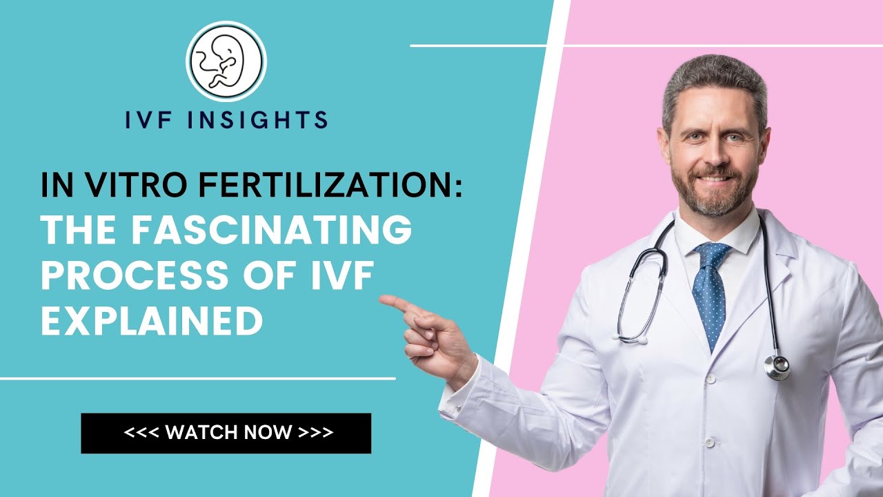 In Vitro Fertilization: The Fascinating Process of IVF Explained - YouTube