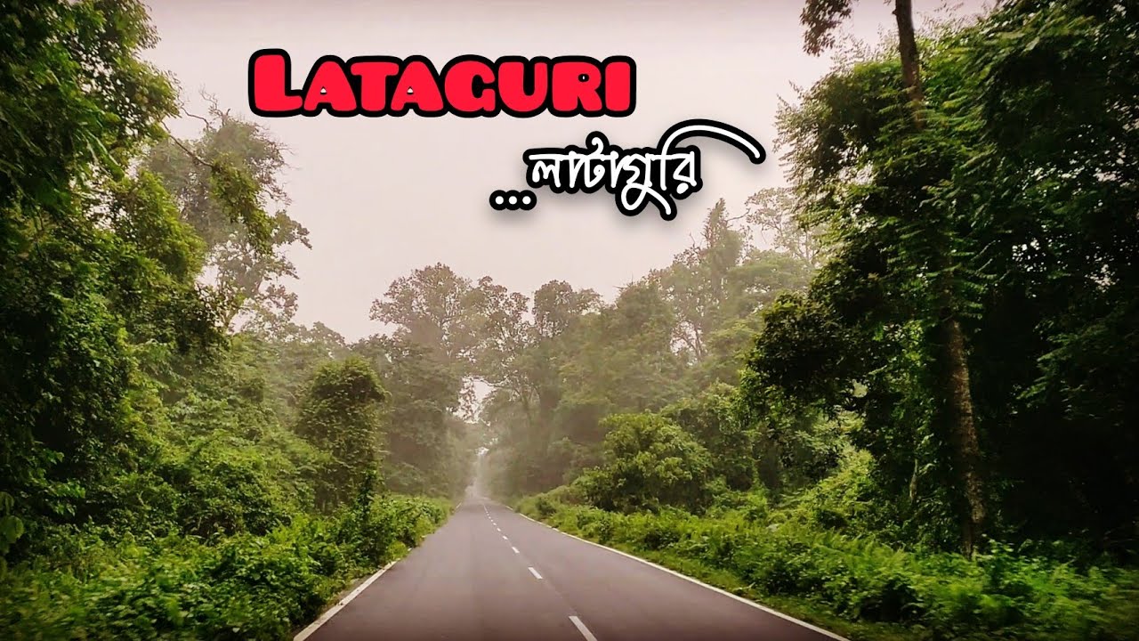 Lataguri forest_|| লাটাগুরি _|| Gorumara National park - YouTube