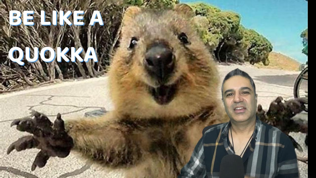 Be like a QUOKKA BABY - Smile and leave all your troubles behind you ...