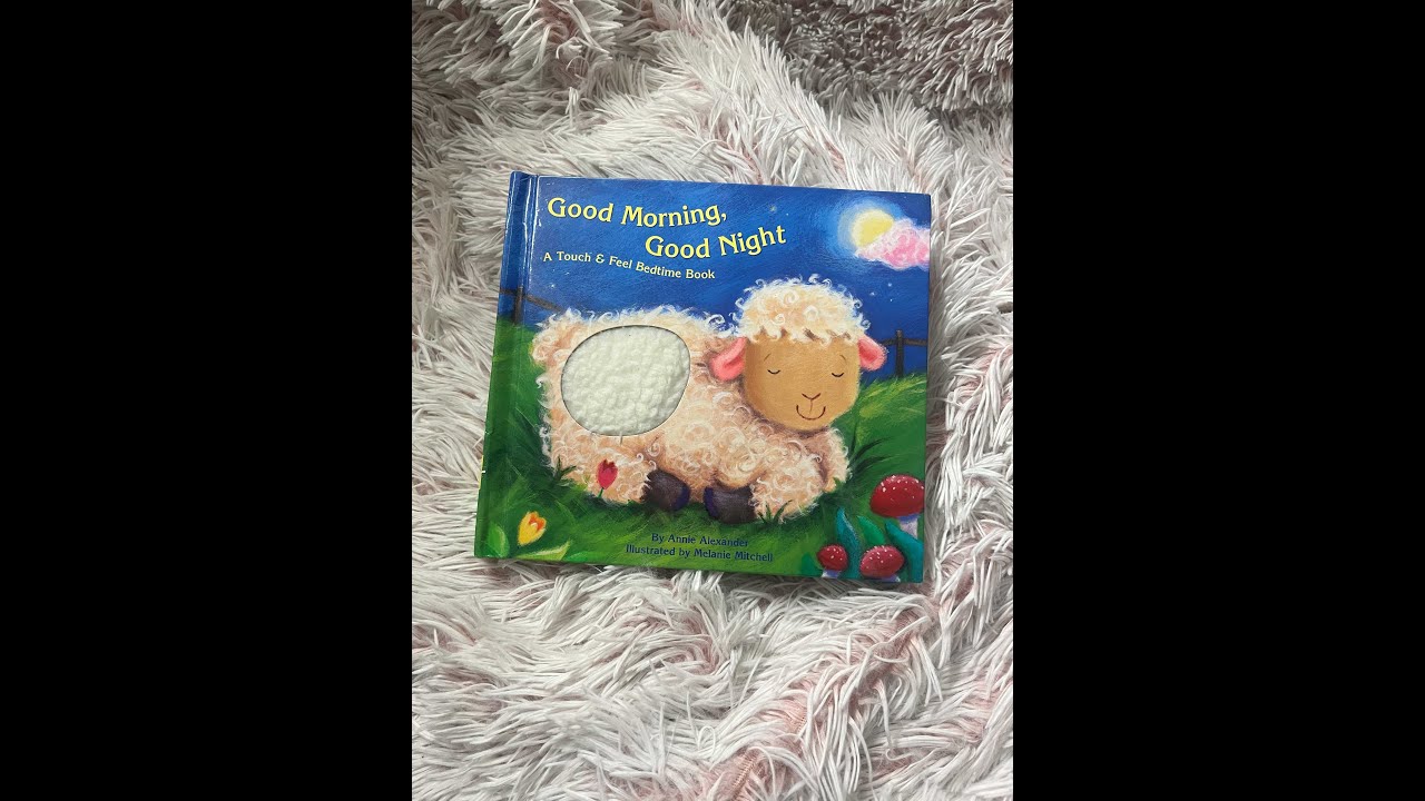 Good Morning, Good Night - read aloud #bedtimestories #preschoolbooks # ...