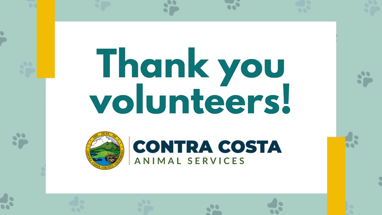 Volunteer Appreciation Week 2025 | Contra Costa Animal Services - YouTube