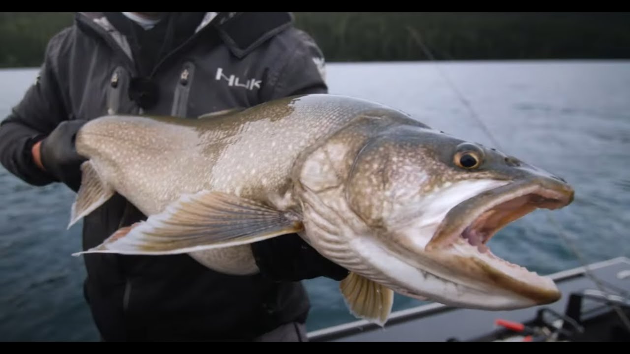 How to Target TROPHY LAKE TROUT: Part One (Alpine Mackinaw of Oregon ...