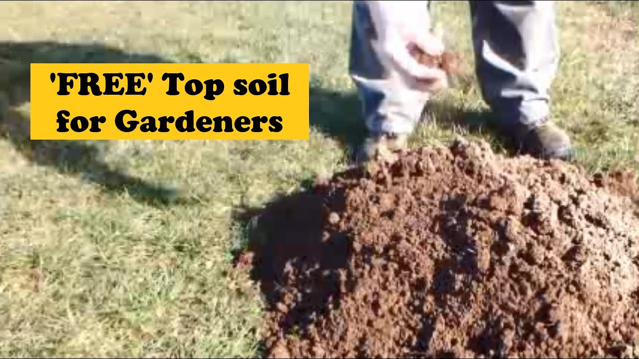 Free Top Soil for gardeners growing in buckets or bags who only need a ...