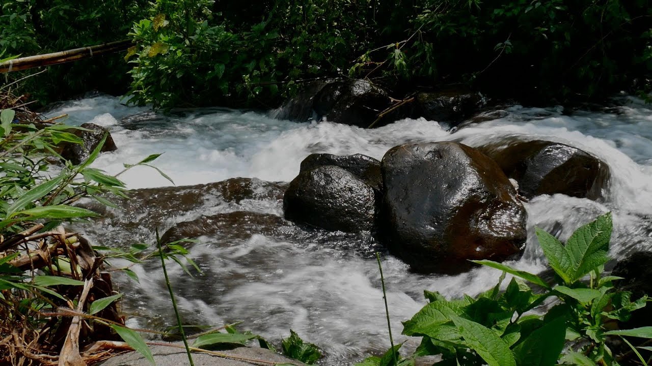 Calming Forest Tropical Waterfalls. Relaxing Nature Sounds, Waterfall ...