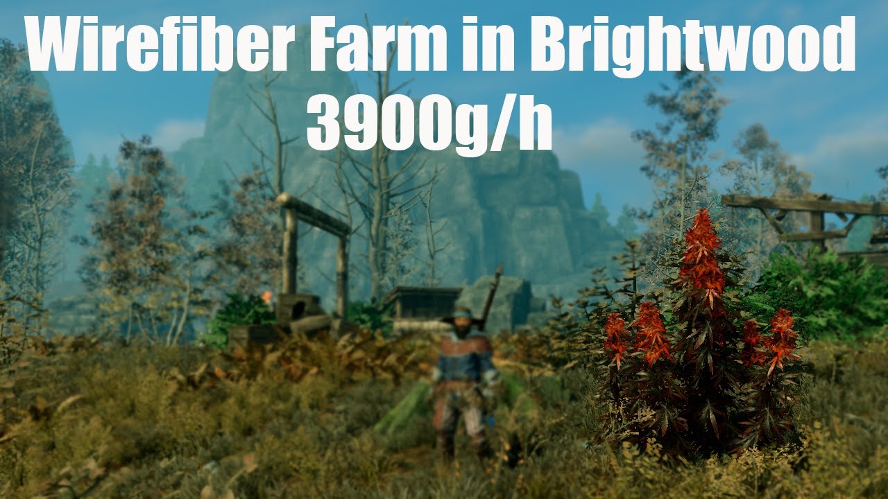 Wirefiber Farm in Brightwood - YouTube